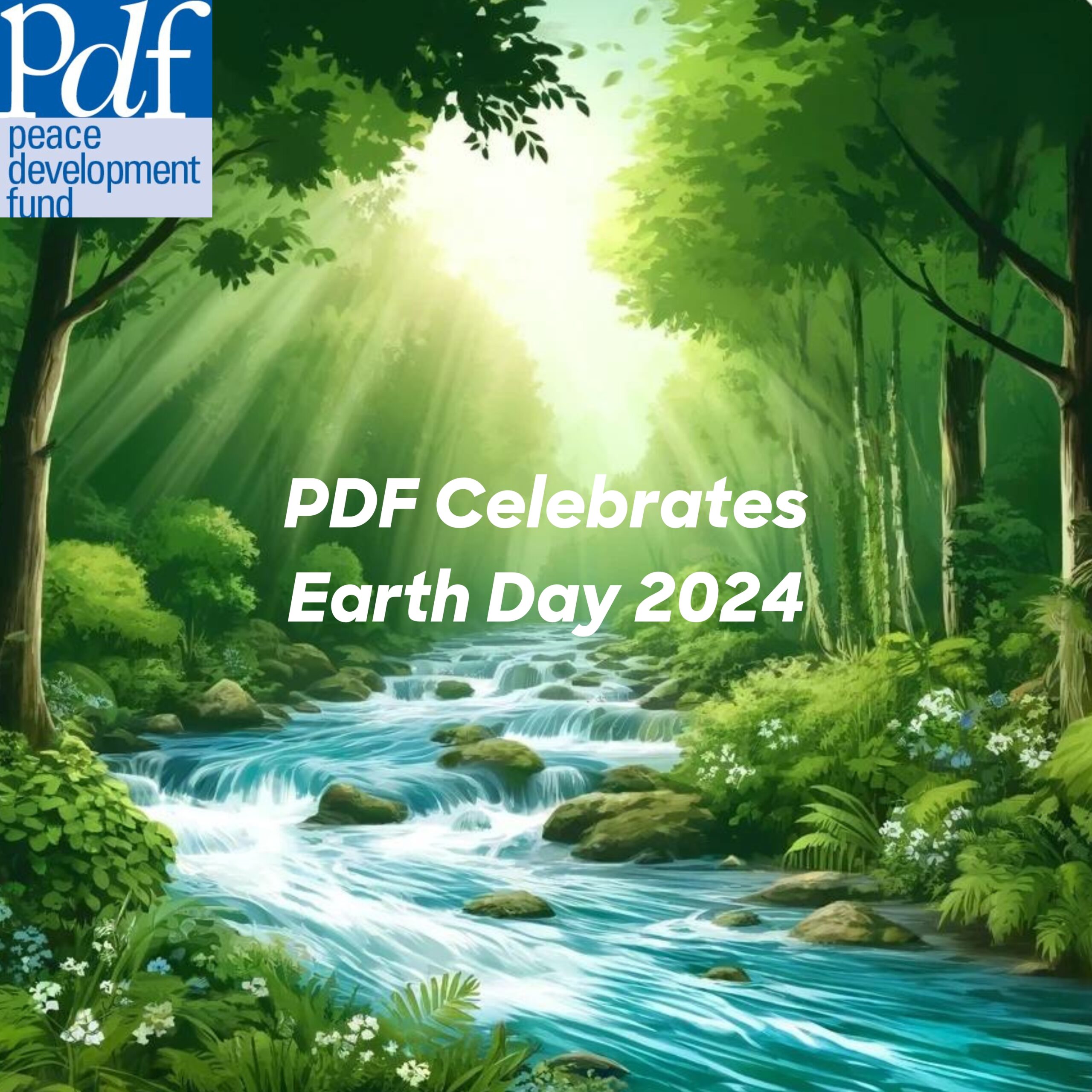 Peace Development Fund | The Peace Development Fund works to build the ...